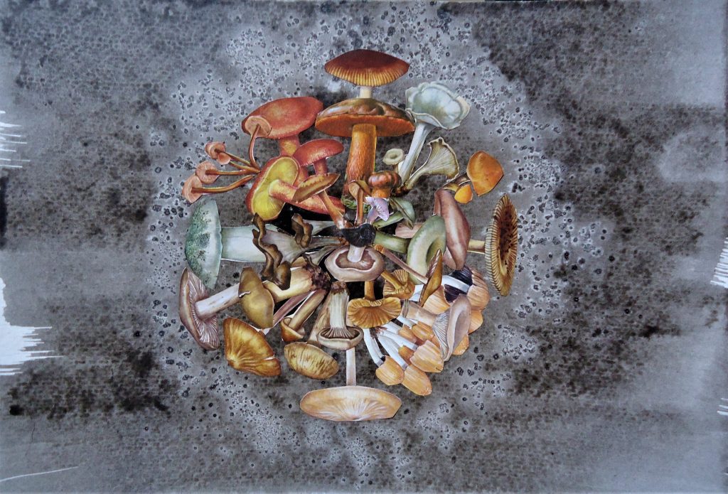 mandala collage series