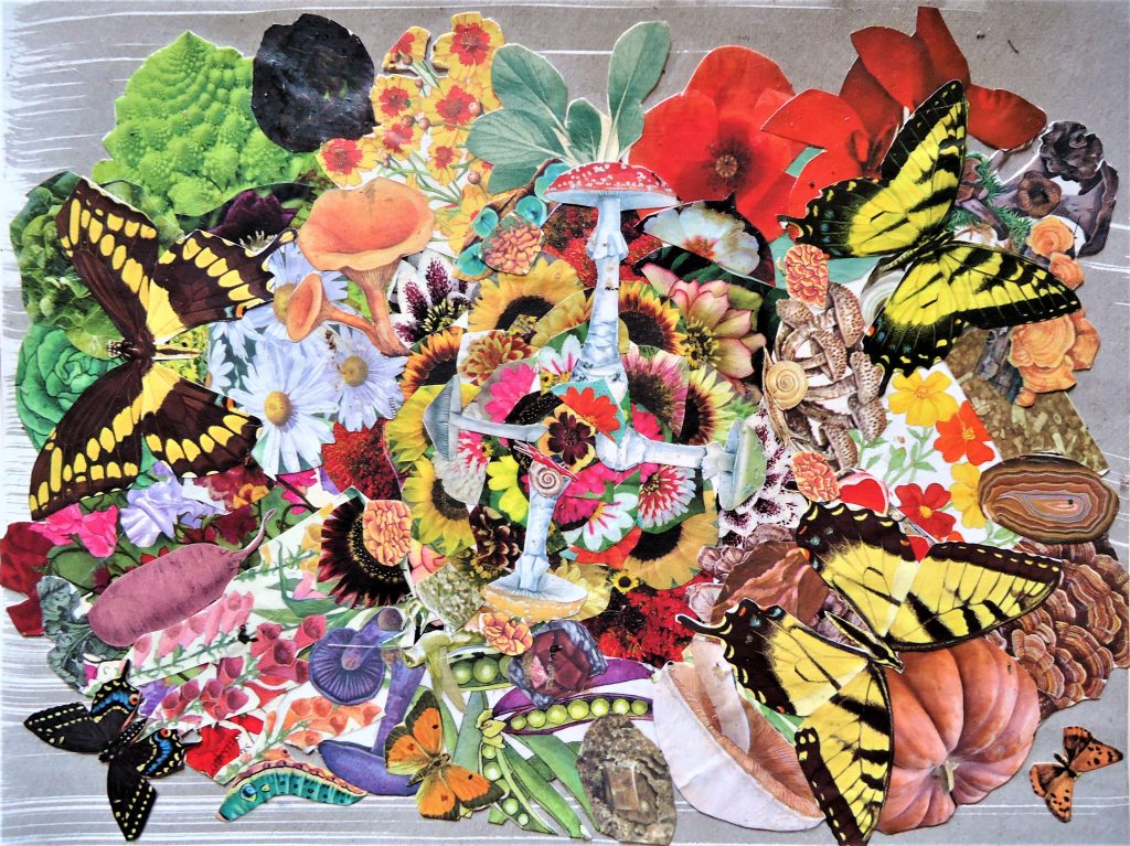 mandala collage series