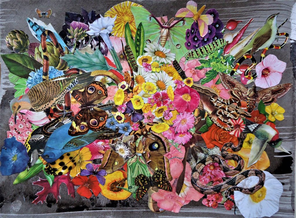 mandala collage series