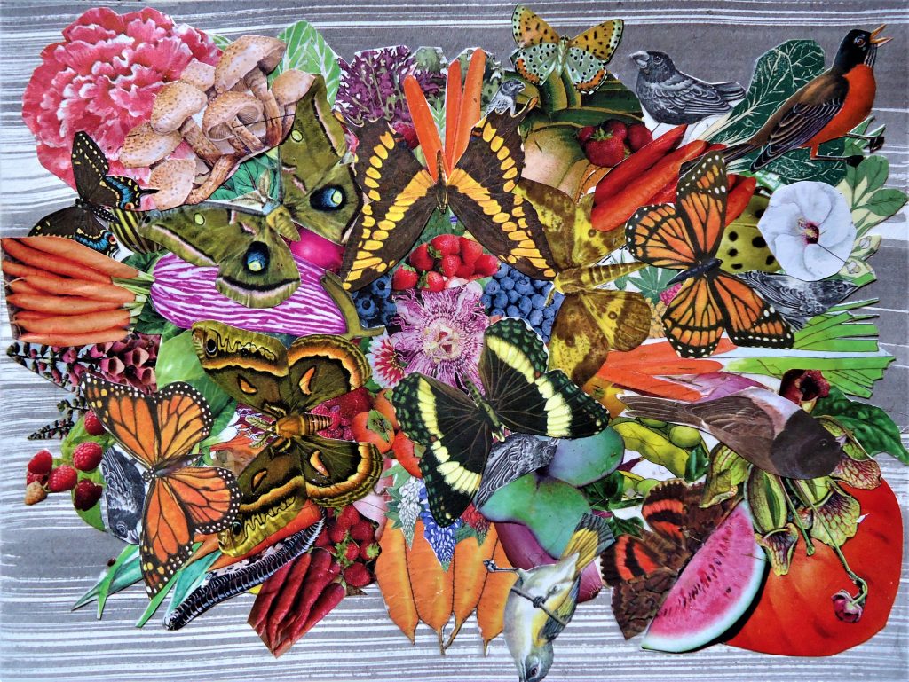 mandala collage series