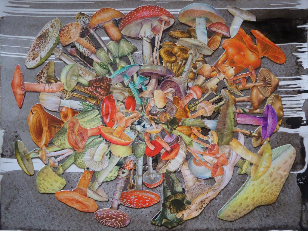 mandala collage series